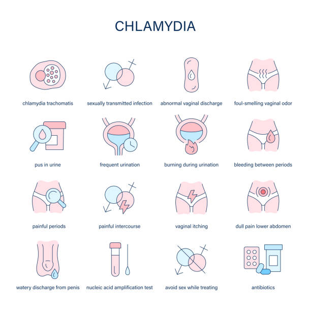 Chlamydia Rapid Test Kit – At-Home Results in 15 Minutes – RapidTest